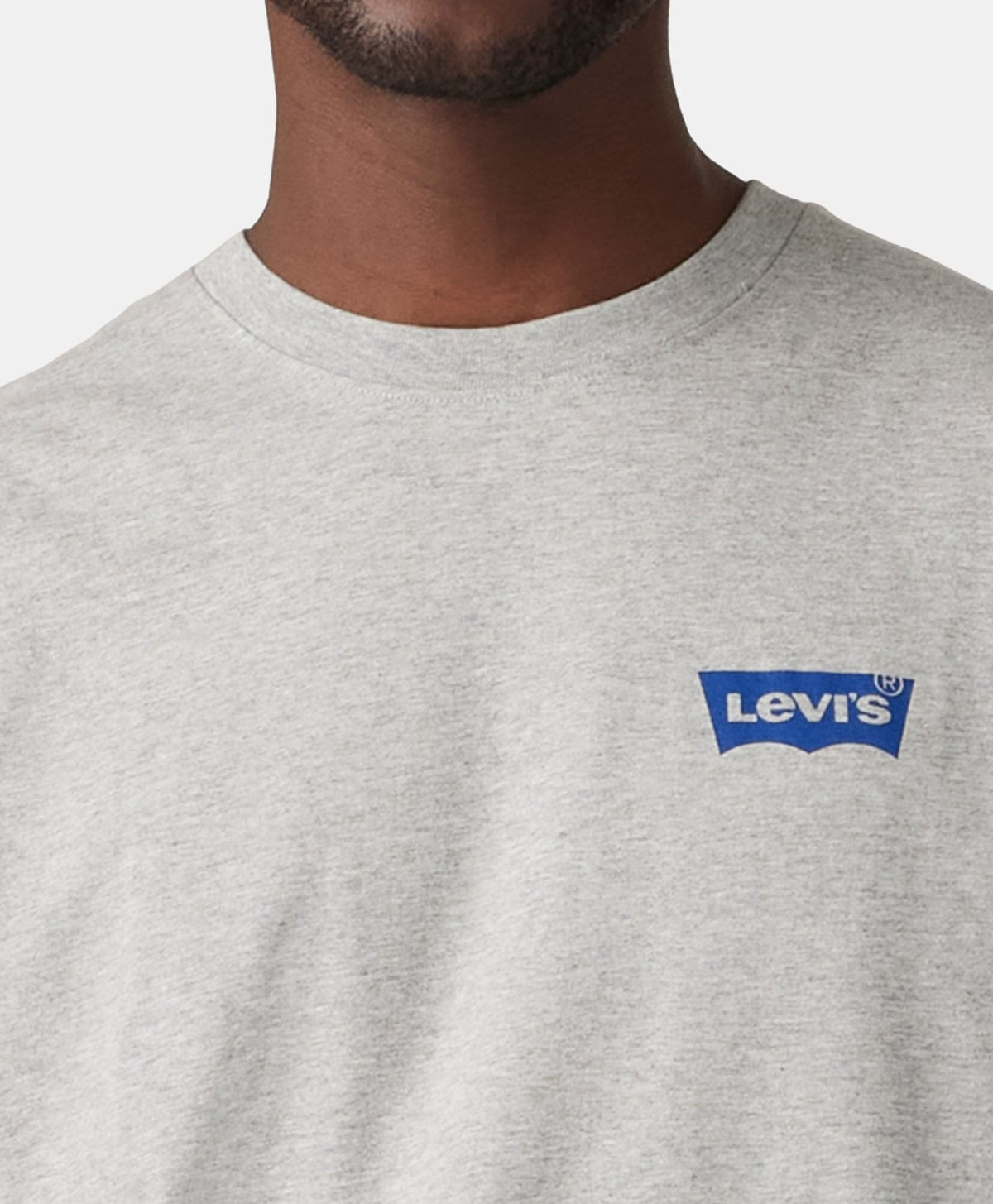 Polo Hombre Ss Relaxed Fit Tee Levi's 16143-1639